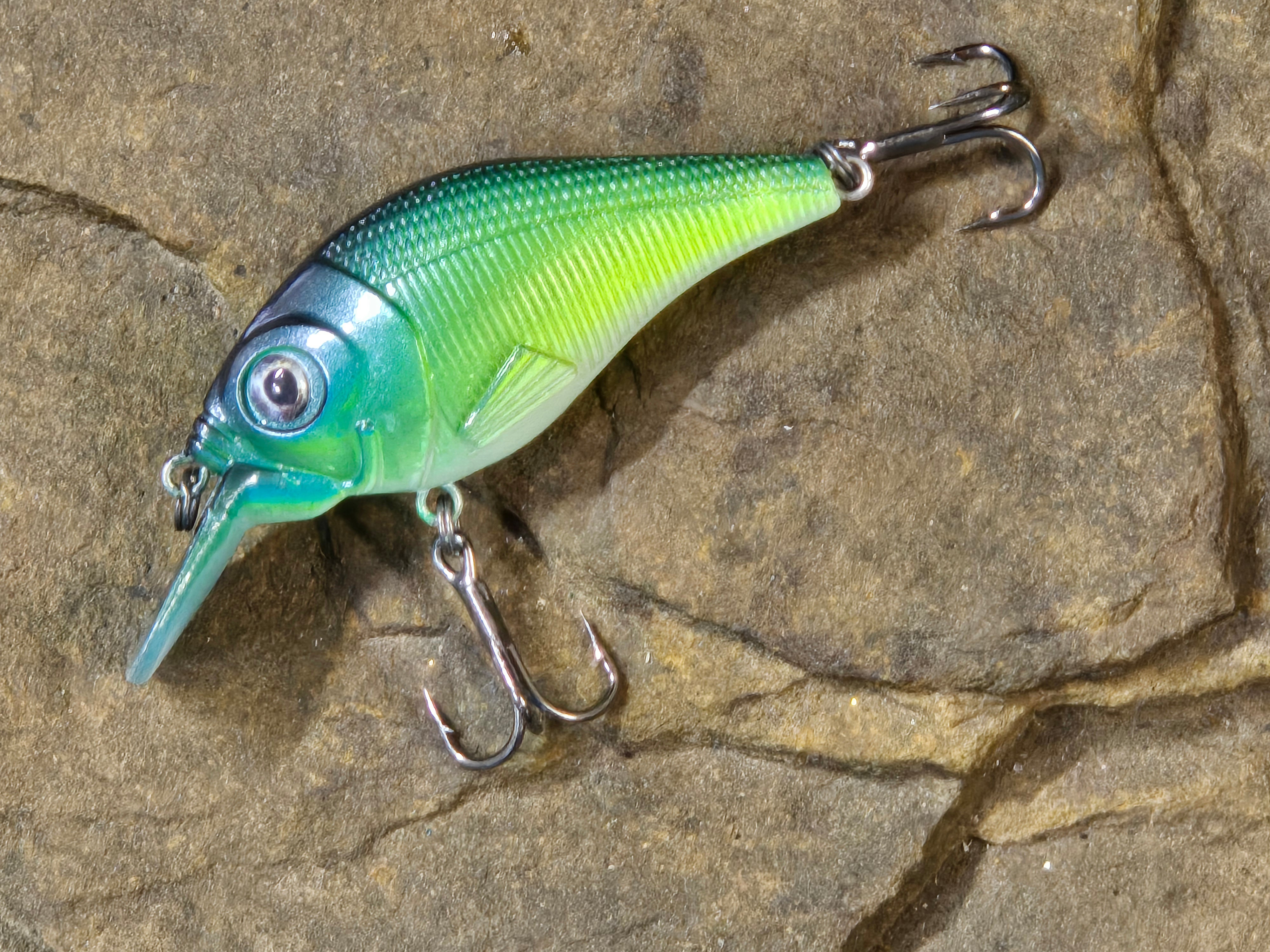 Mimic Crankin Shad Citrus Shad – Mimic Baits Company