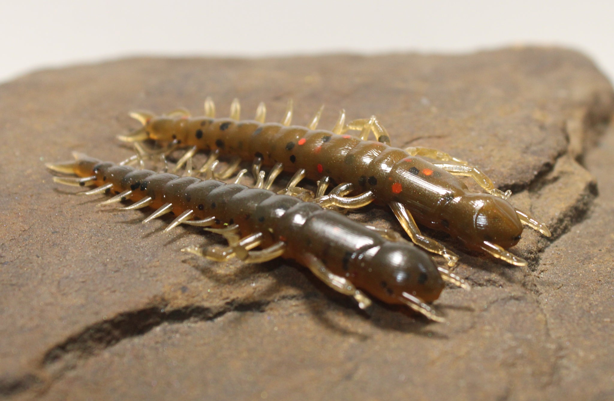 Hellgrammite 3" 12 pk – Mimic Baits Company